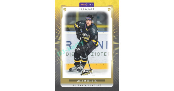 2024/25 Goal Cards Maxa liga 1. série #SOK-08 Adam Rulík Parallel 1of40
