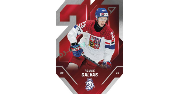 2025 Sportzoo Hokejové ČESKO #TE-06 Tomáš Galvas Team 20