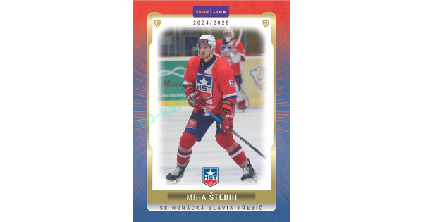 2024/25 Goal Cards Maxa liga 1. série #TRE-09 Miha Štebih