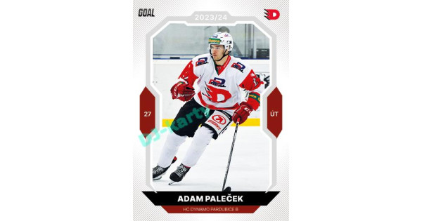 2023/24 Goal cards Chance Liga 2. série #386 Adam Paleček